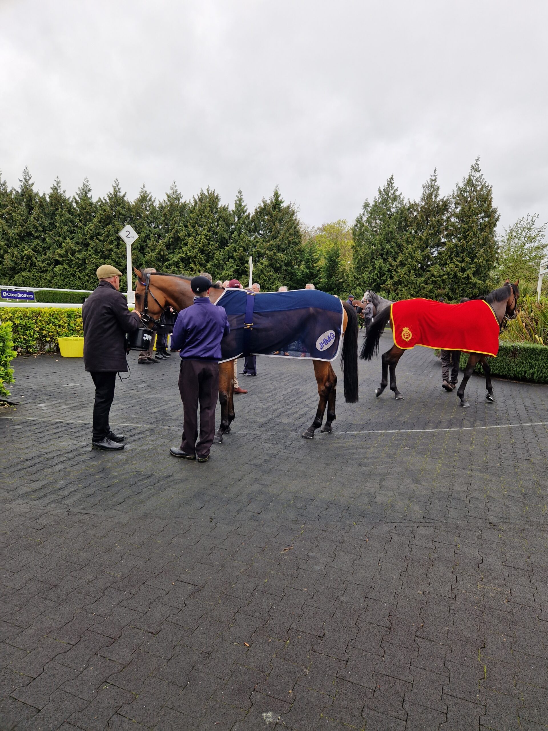 Voikhansky brings up his half century of winners after Mr Baloo ...