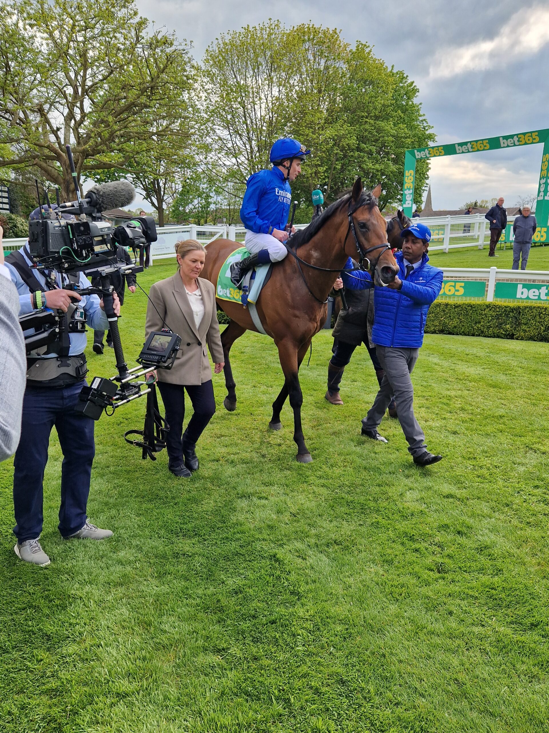 Arabian Crown puts on an impressive display to enhance his glowing ...