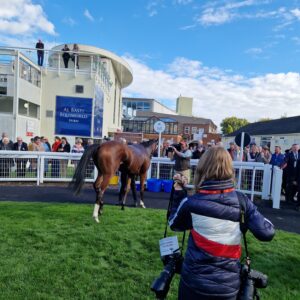 Bob Marli bags a hat trick of wins on the season’s finale day of racing ...