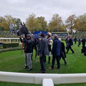 Long wait for winner for Chris Gordon finally happens after a spell of ...