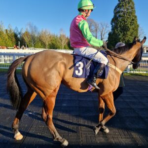 Long treck from North Yorkshire proves fruitful for Charlie Johnson ...