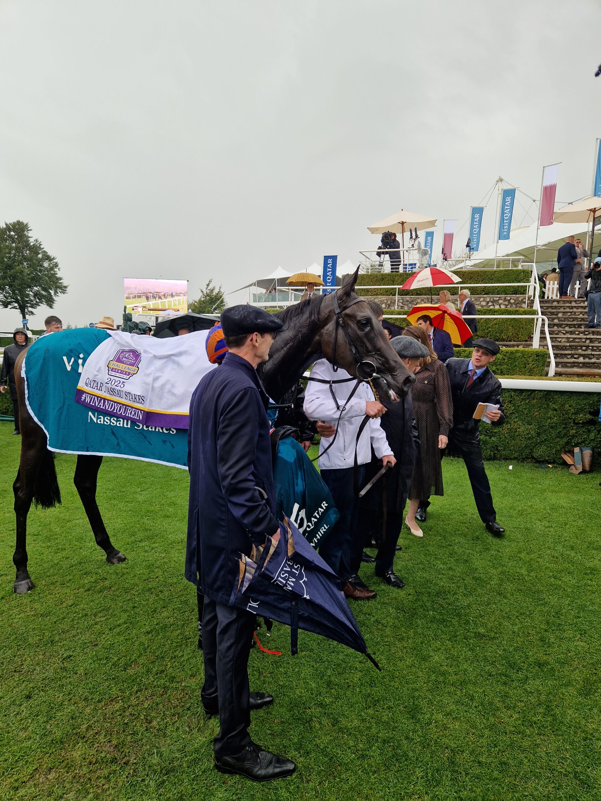 Whirl impresses in treacheries conditions in the Nassau at Goodwood on ...